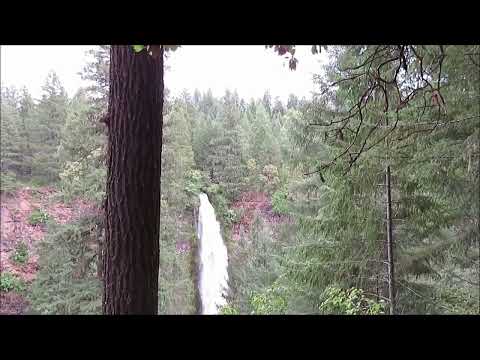 Giant Red Sasquatch Takes Fishermans Catch on Rogue River - YouTube