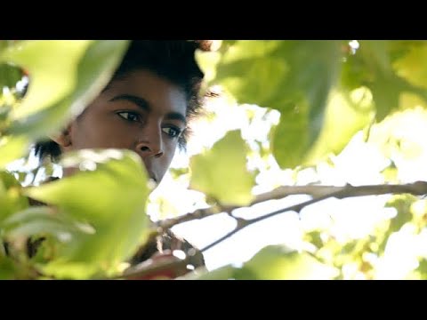 Jamillah and Aladdin Series 1, Episode 21 The Fly-Away Nightingale