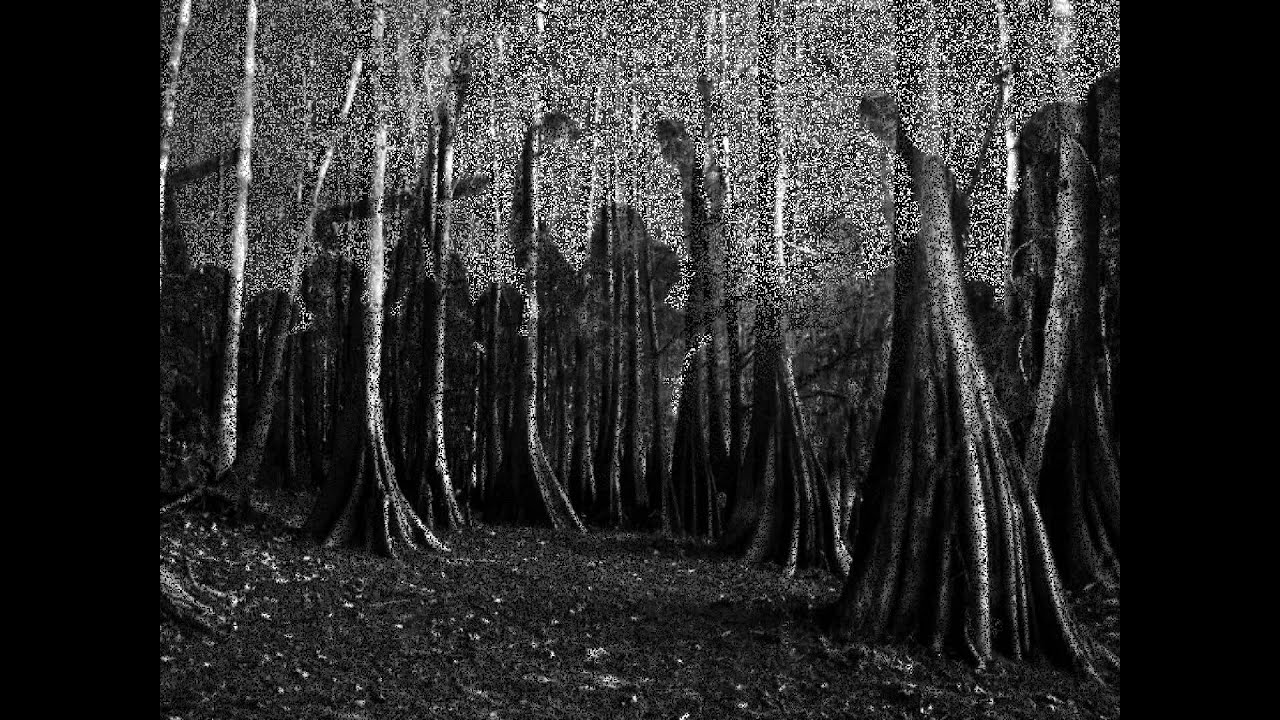 Death Dust Extractor "DIE" - YouTube