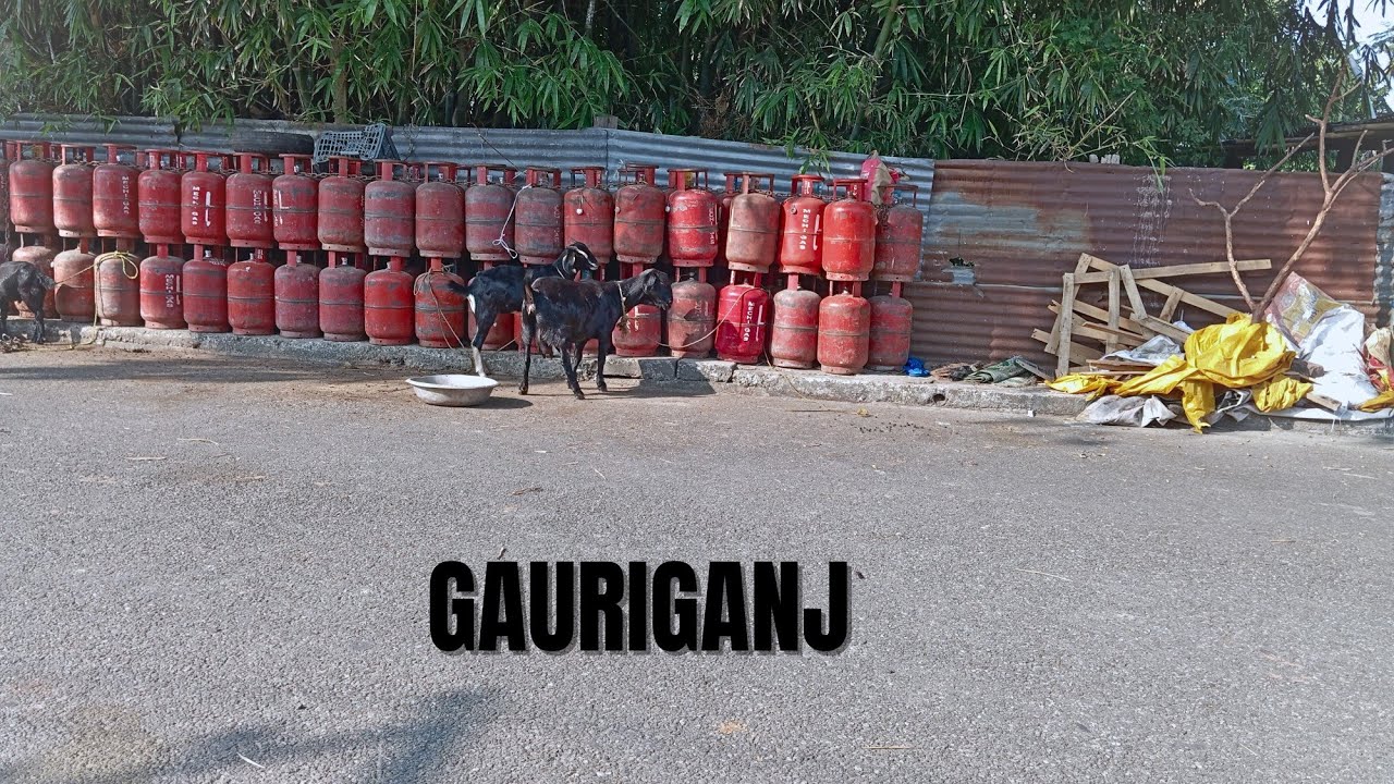 Gauriganj - YouTube