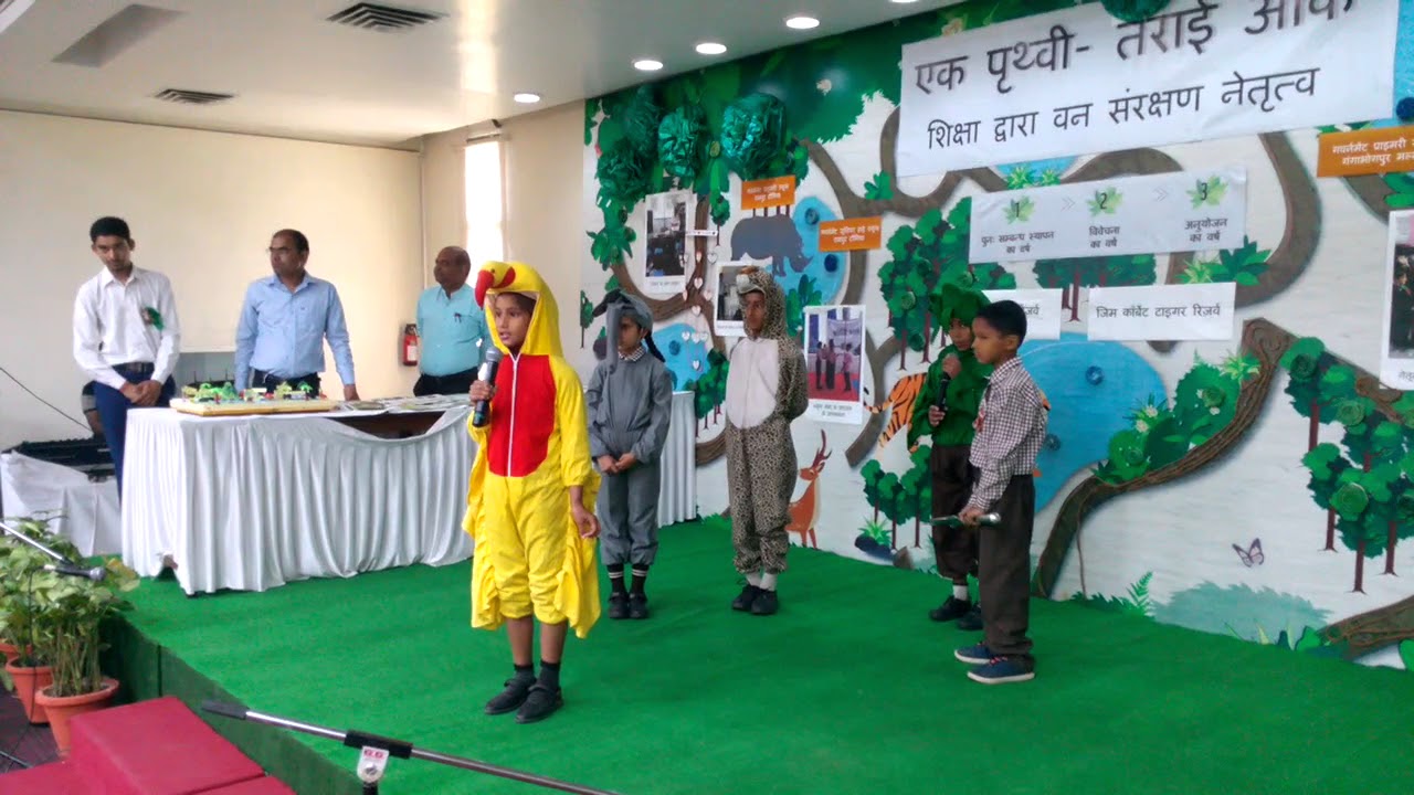 Save the Environment @ Panda Fest WWF New Delhi - YouTube