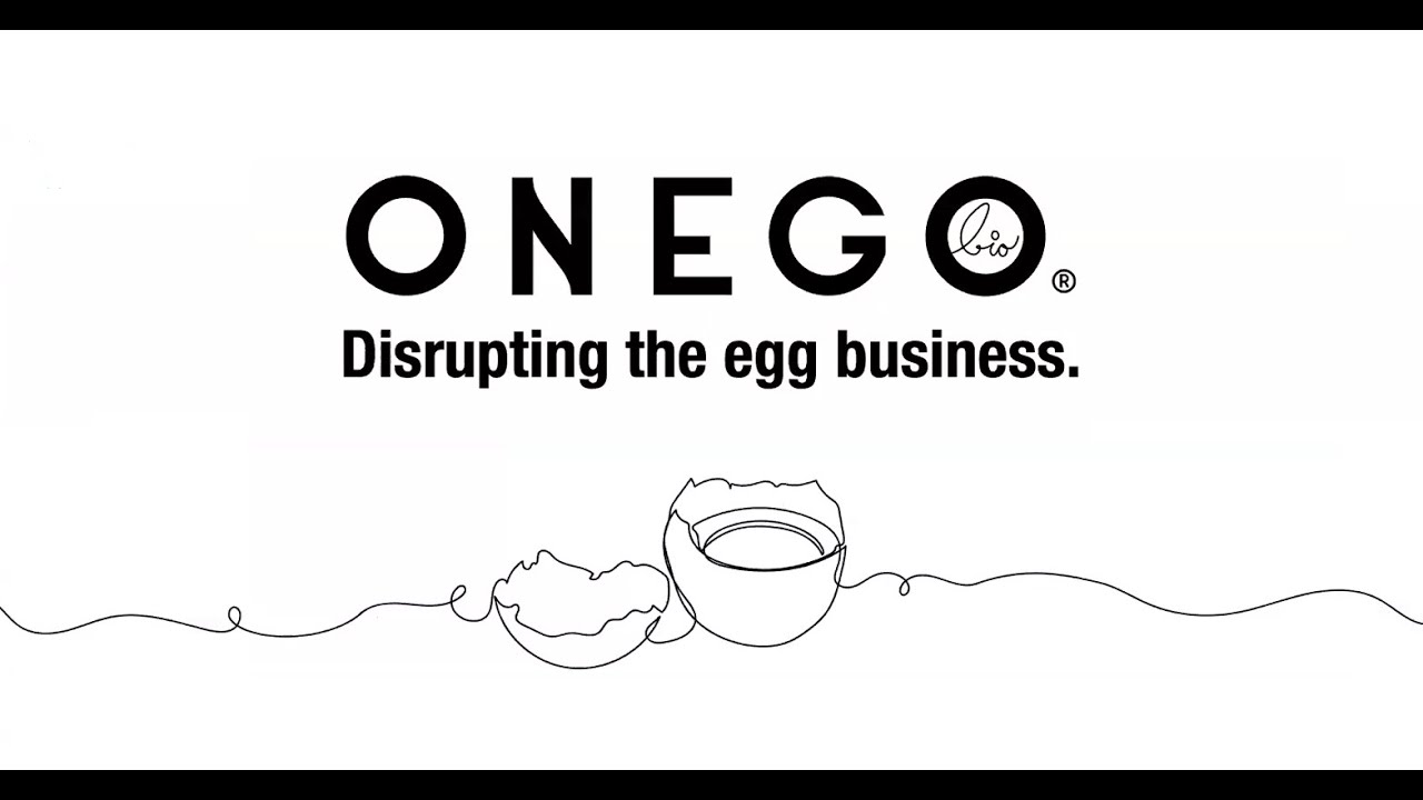 Capital Markets Day Presentation - Onego Bio - YouTube