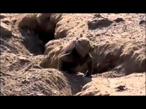 kartalın müthiş saldırısı- www.bestoffrm.com