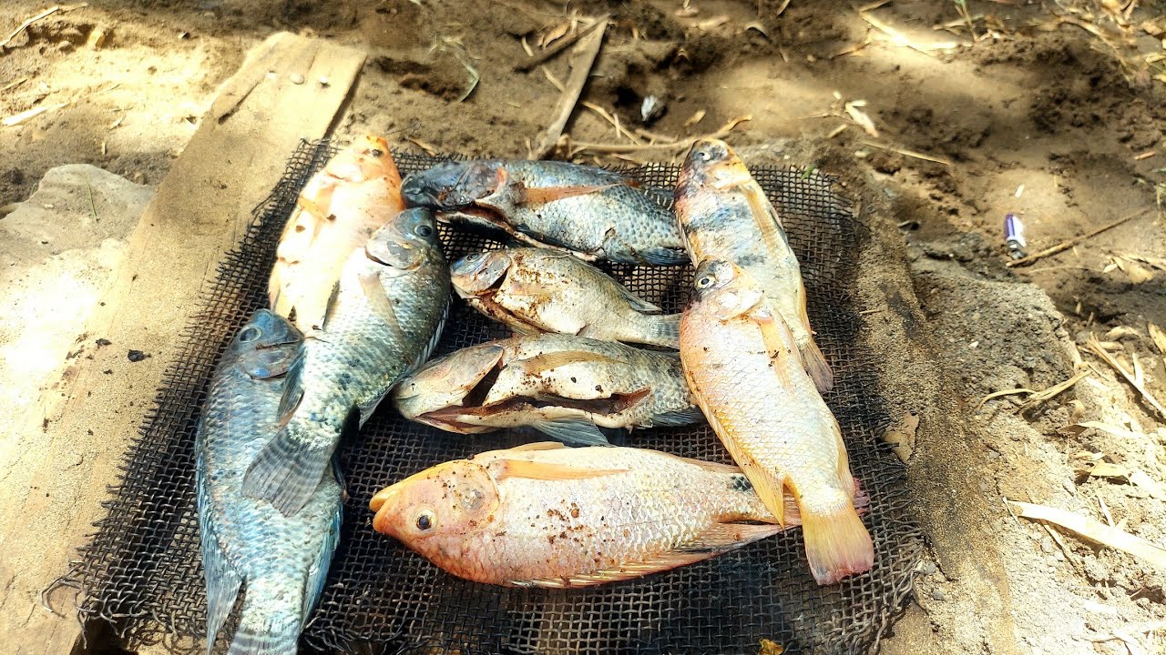 Dry Roast Fish Over Open Fire | Summer Brake - YouTube
