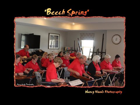 🥰🎶 "Beech Spring" - SoKY Heartstrings - YouTube