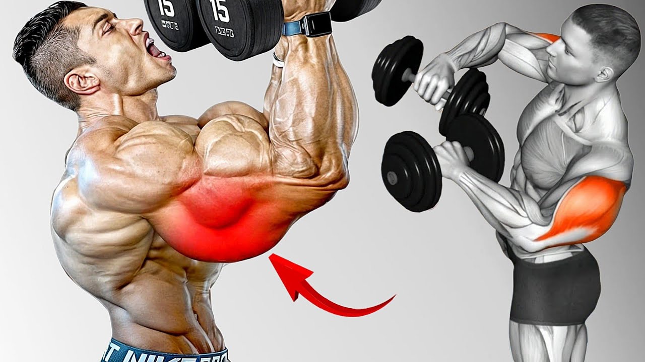 8 Effective Tricep Exercises for Bigger Arms - YouTube