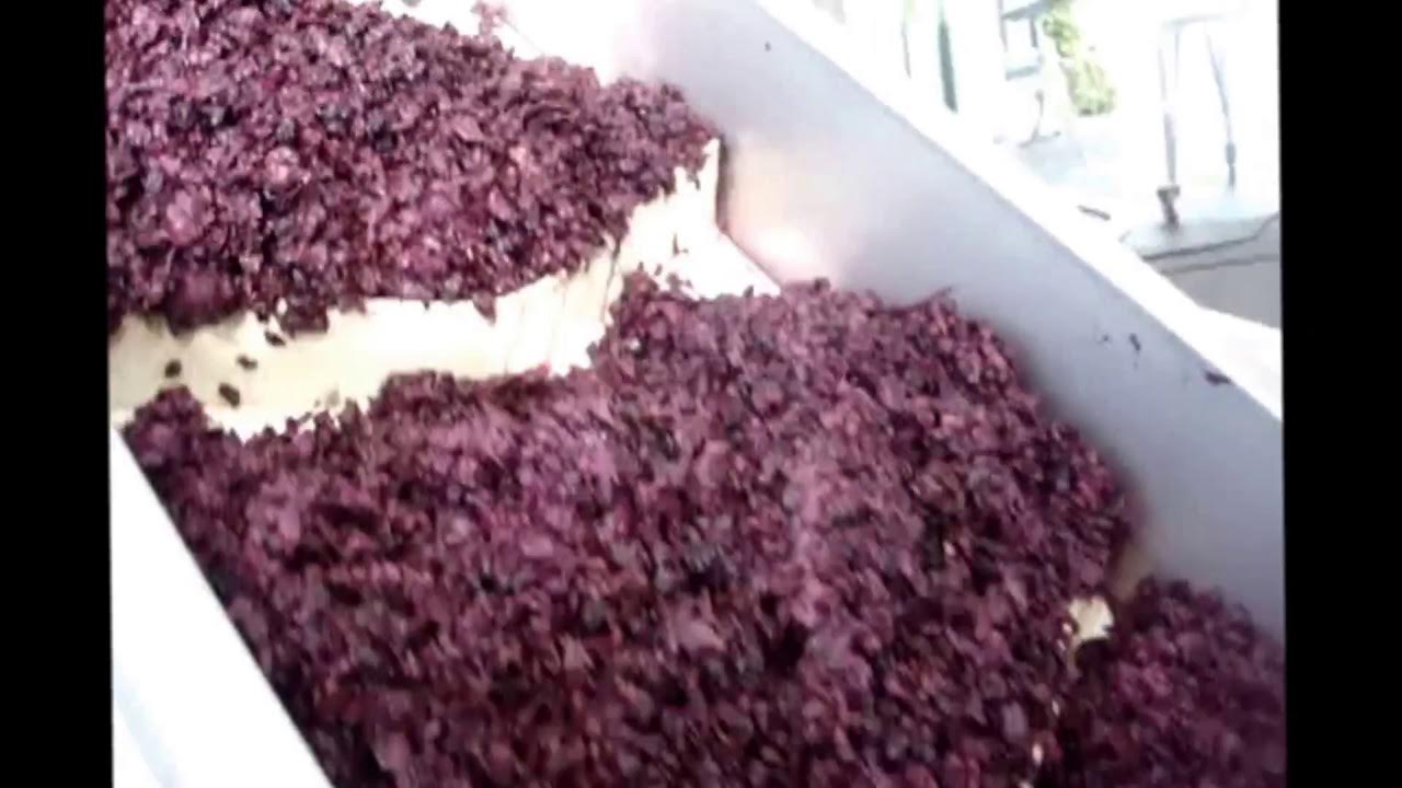 Criveller Grape Elevators - YouTube