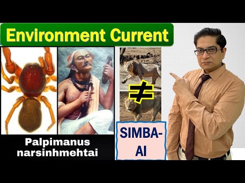Environment Current: SIMBA AI-Surveyor, New Girnar Spider, 10th Sch 2 ...