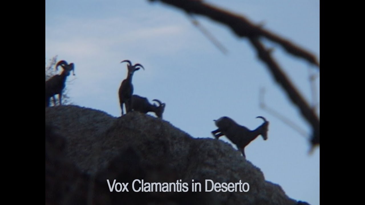 Vox Clamantis in Deserto - Serie Documental, episodio 6 - YouTube