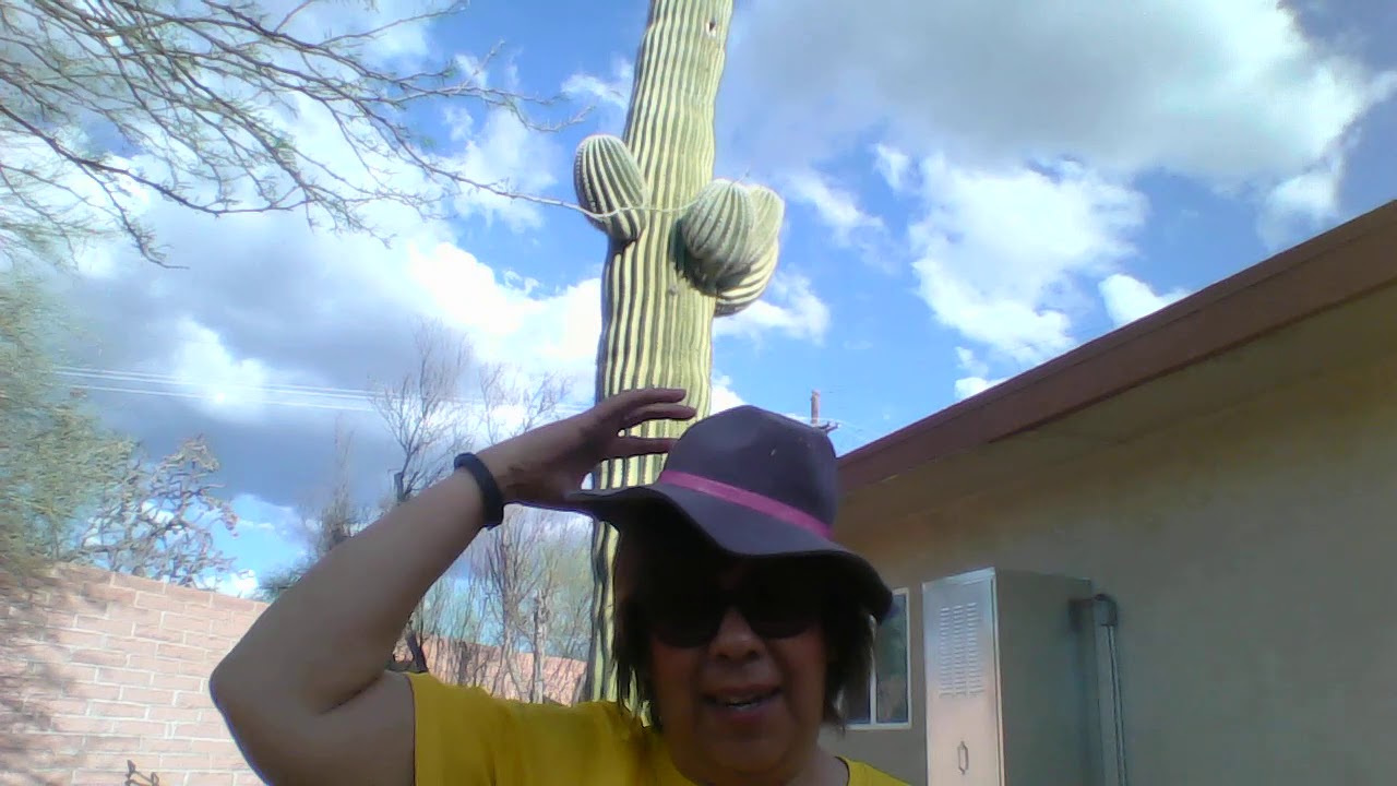 La Linea Chapter 3 - YouTube