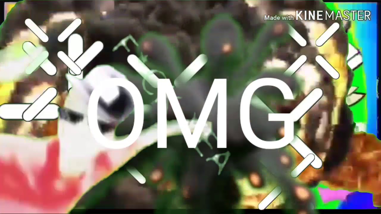 Mlg Green Screen 5 Youtube