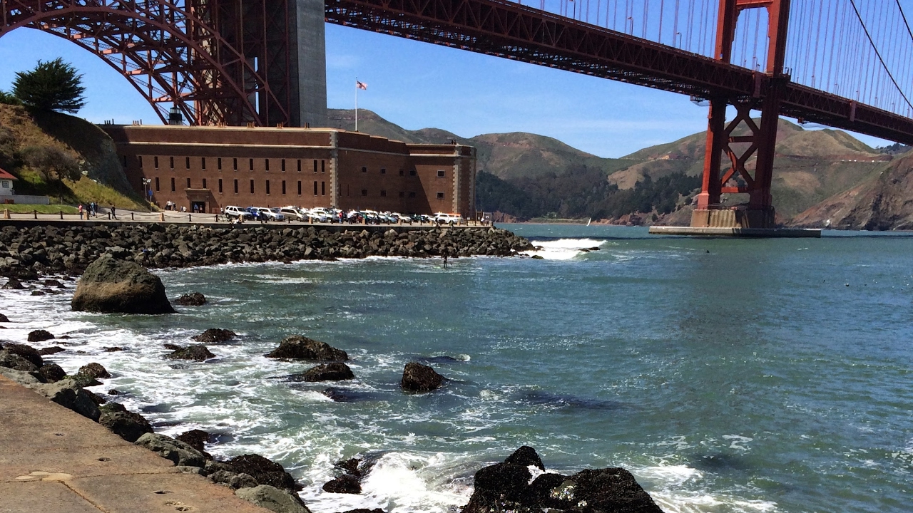 Anna MacDonald Live Stream - YouTube