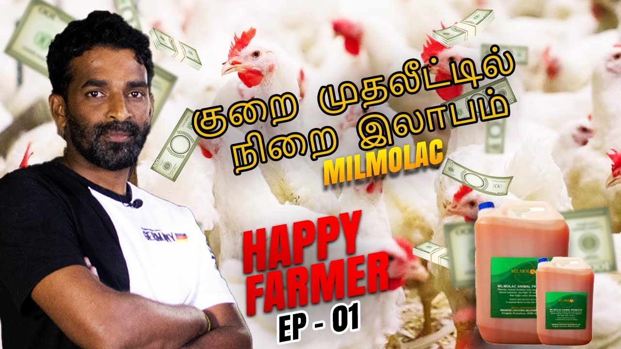 மில்மோலக் மூலம் இலாபத்துக்கு மேல் இலாபம்,ஹாலி எல்ல பிரபு கூறுகின்றார் ...