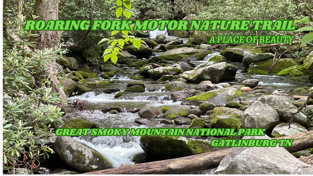 Roaring Fork Motor Nature Trail | Great Smoky Mountains National Park ...