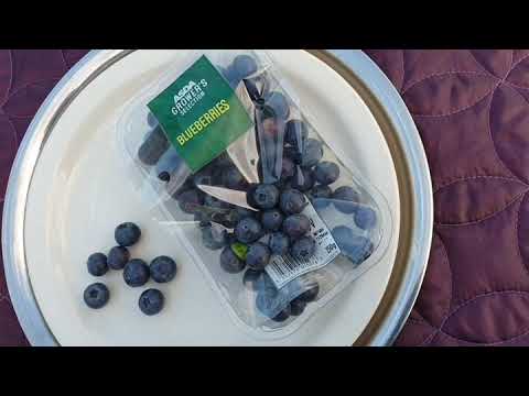 Ep 14 - Raven reviews - Blueberries - YouTube