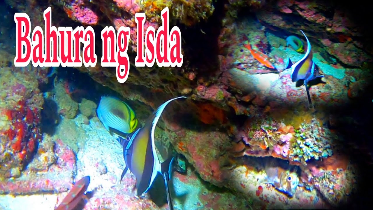 Ep21:Night Spearfishing simpleng bahura marami palang isda - YouTube