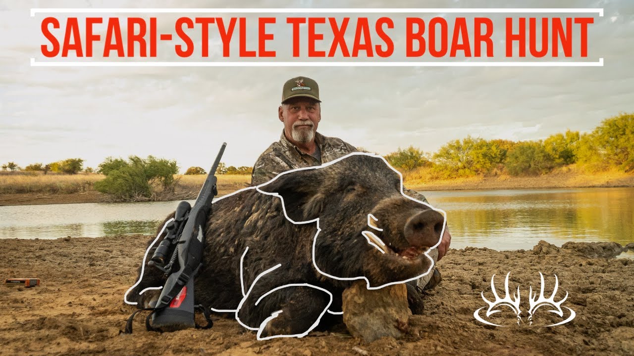 Wild safari-style Texas Hog Hunt (HUGE Cutters) - YouTube