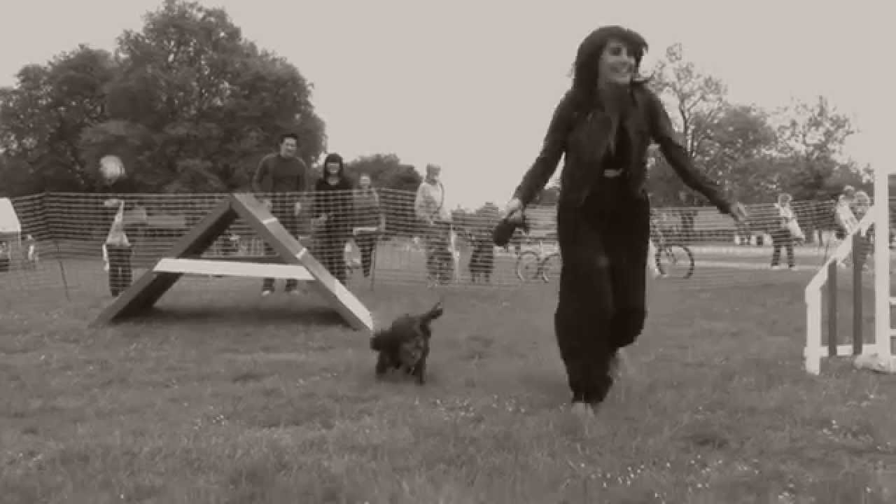 Dog Agility Fail - YouTube