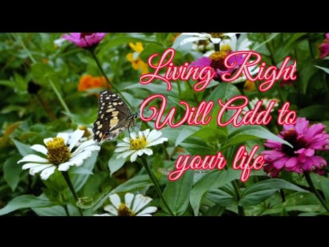 Living Right Will Add to your life - YouTube