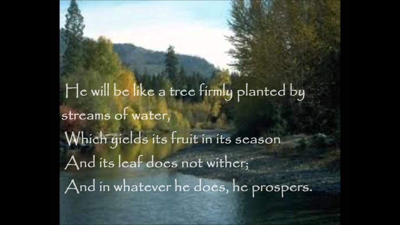 Daily Bread:Psalm 1 (NASB) - YouTube