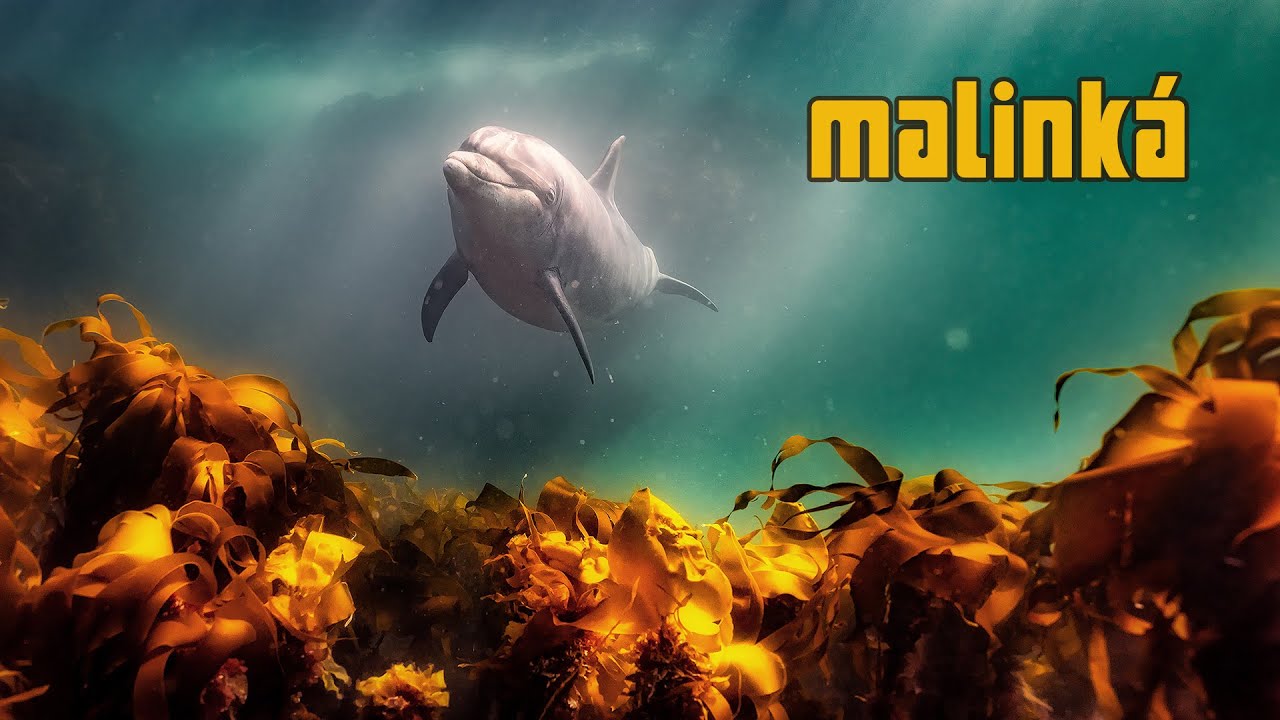 Malinká [FILM] - YouTube