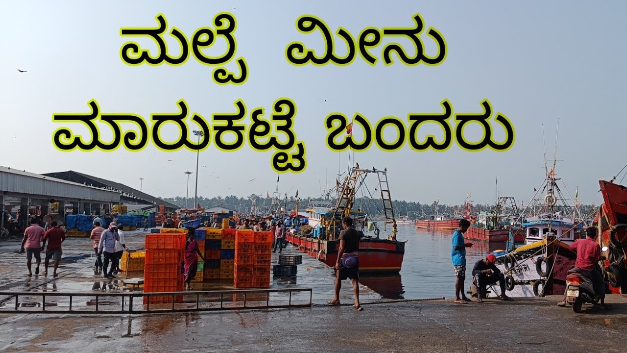MALPE FISH MARKET | MALPE HARBOUR || #karnataka #malpe #dakshinakannada ...