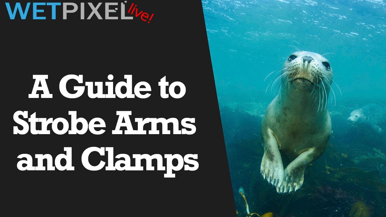 A Guide to Strobe Arms and Clamps - YouTube