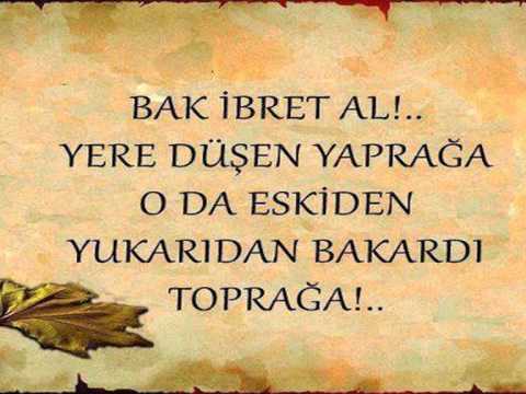 Yok Böylesi İlginç Komik Düşündürücü