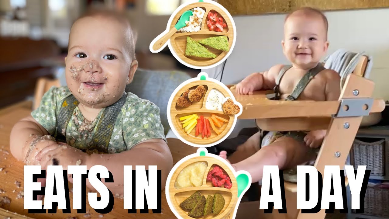 What My 7 Month Old Eats in a Day | Baby Led Weaning Real Meals & Tips ...