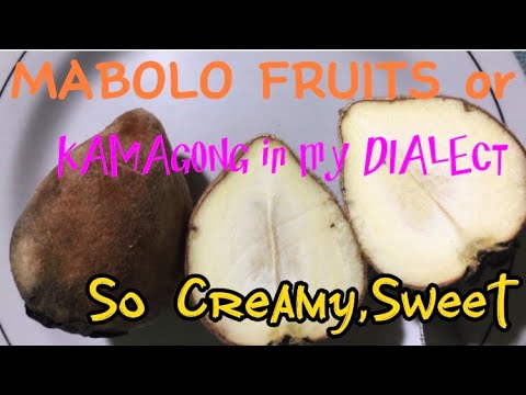 MABULO or KAMAGONG FRUITS in my DIALECT so CREAMY and SWEET - YouTube