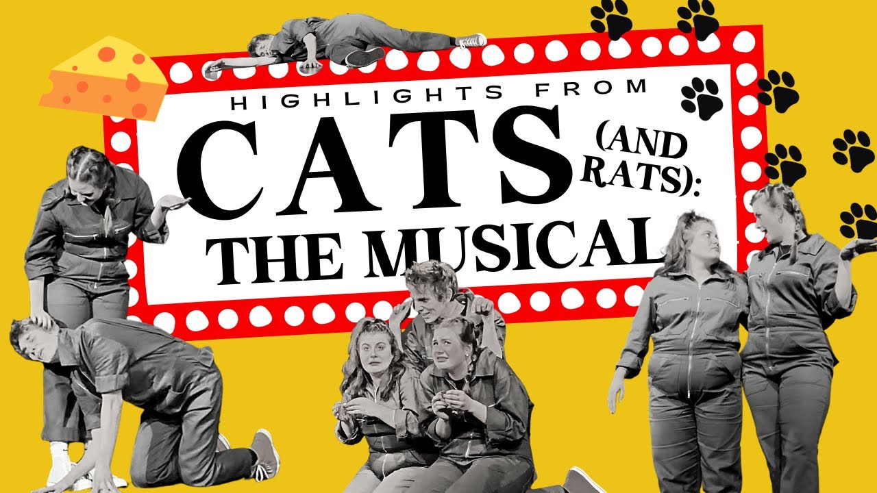 Highlights from Cats [and Rats]: The Musical! - YouTube