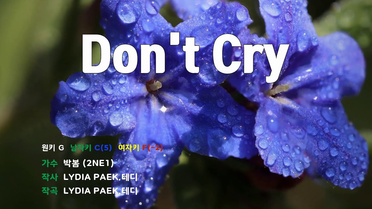 [은성 반주기] Don't Cry - 박봄(2NE1) - YouTube