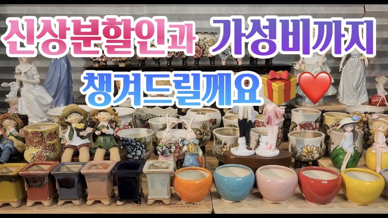 11월8일 신상분할인과 가성비까지 챙겨드릴께요 꽃담다육스토리예쁜화분화분싸게파는곳다육식물 수제분多肉植物succulents다육이꽃담화분다육화분꽃담다육스토리