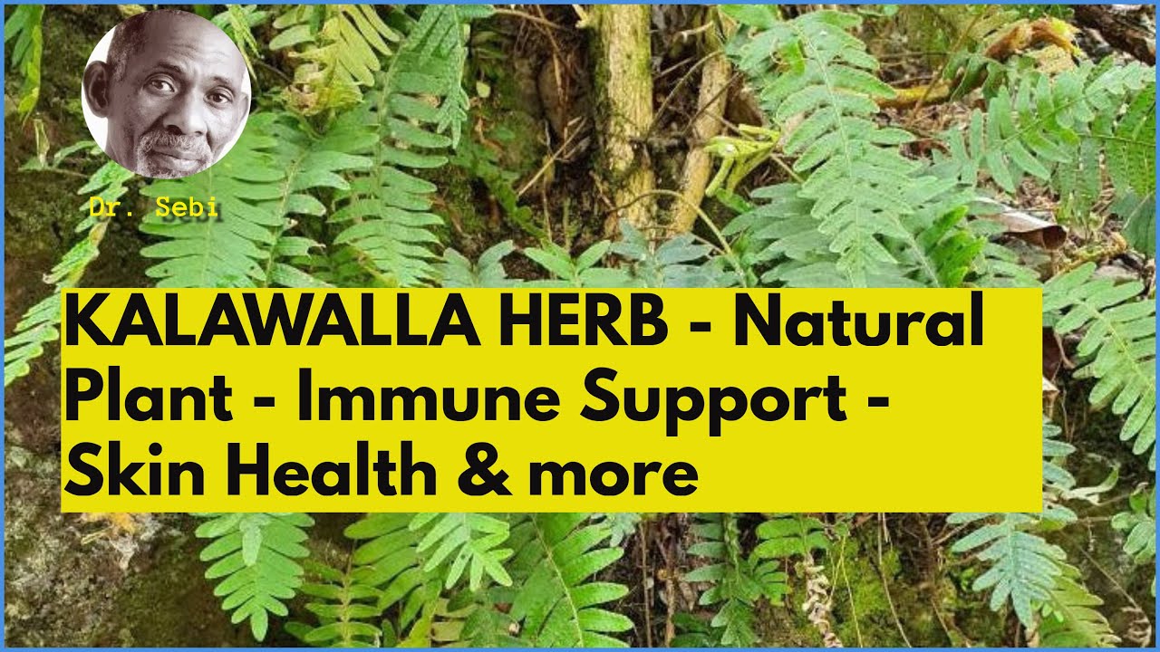 THE MANY USES OF KALAWALLA - SKIN - IMMUNE SYSTEM - TONIC - (Dr. Sebi ...