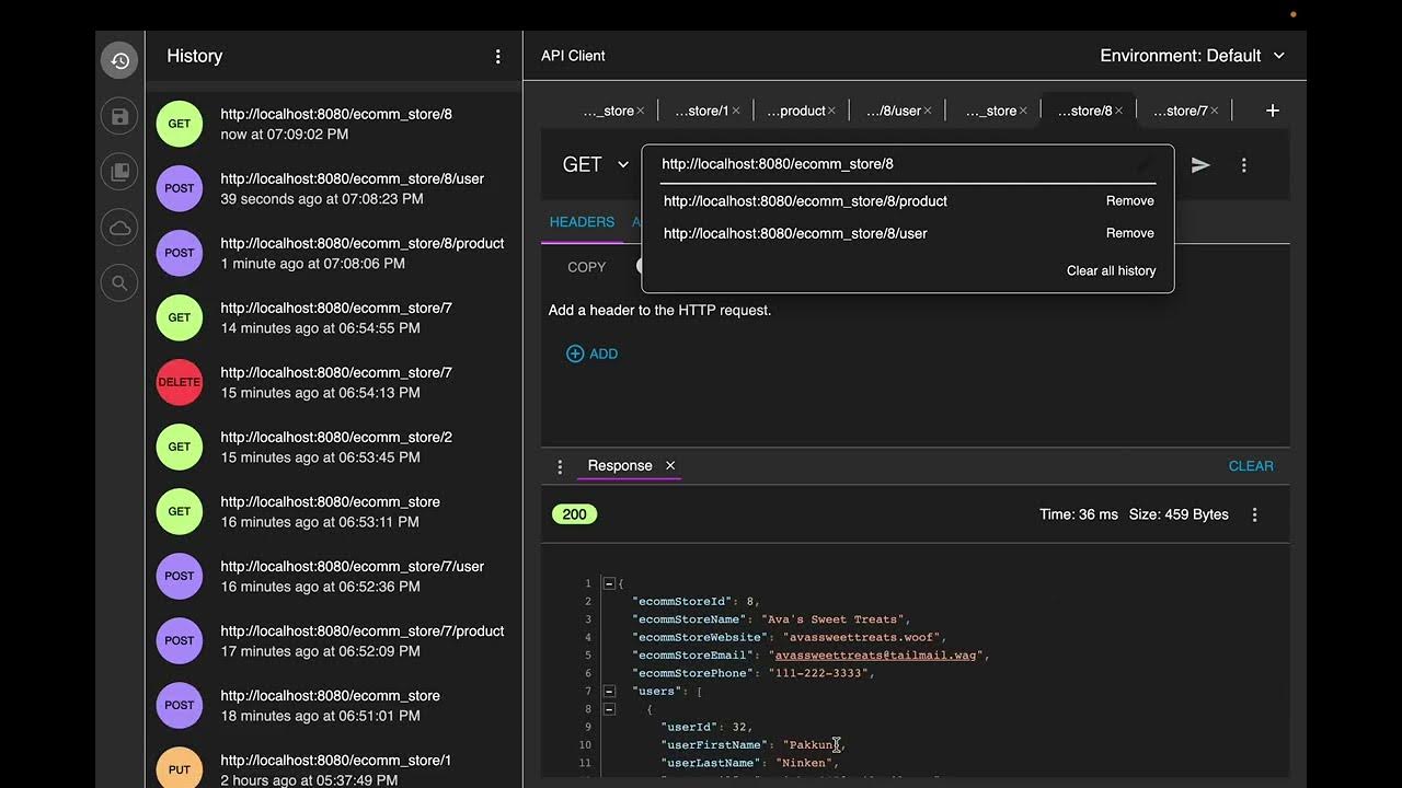 Promineo Tech: Week 18 Final Coding Assignment - Web API - YouTube