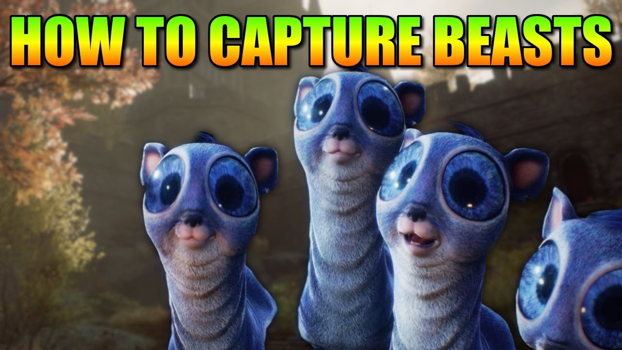 🐴How To Capture Beast In Hogwarts Legacy - YouTube