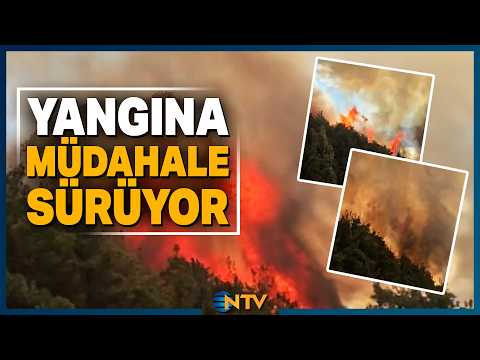 Balıkesir'deki Orman Yangınına Müdahale Sürüyor! | NTV