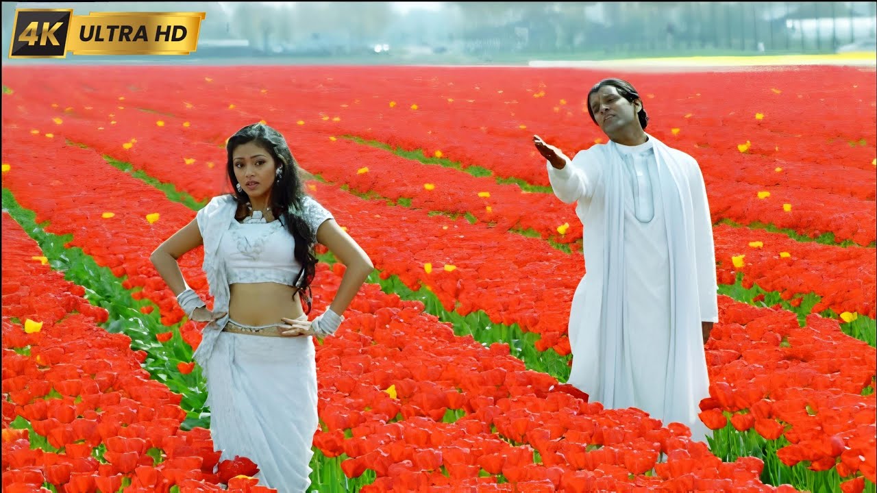 Aparichithudu || O Sukumari 4K 5.1 Telugu Video Song - YouTube