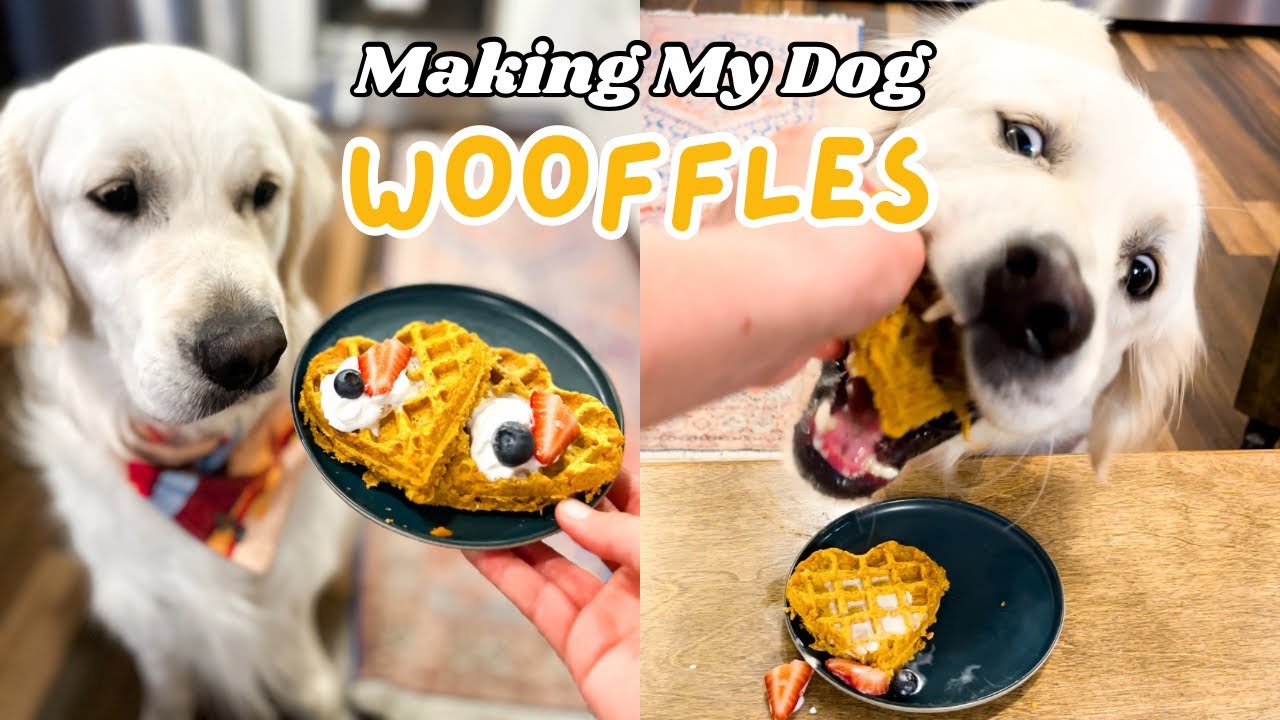 Making My Dog WOOFFLES | Dog Friendly Waffles - YouTube