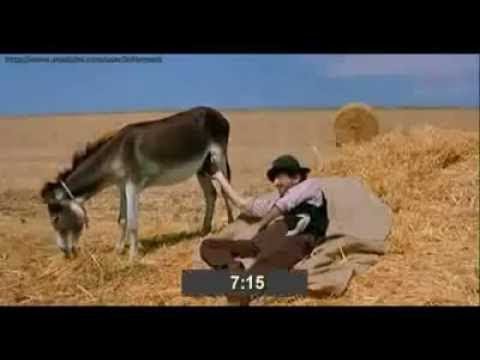 saat kaç komik kürtçe dublaj xalo adlı videonun