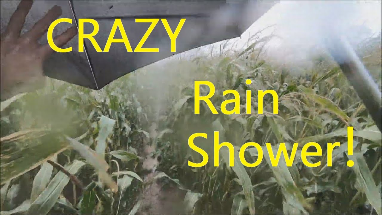 Walking In Very Heavy Rain Shower With Strong Winds - Sounds Of Rain ...