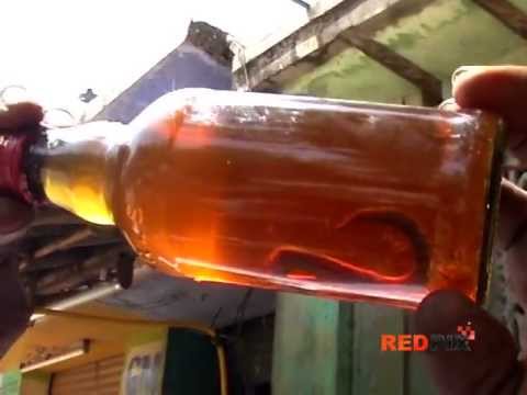 TASMAC Special - Snake In The Booze Bottle.[RED PIX] - YouTube