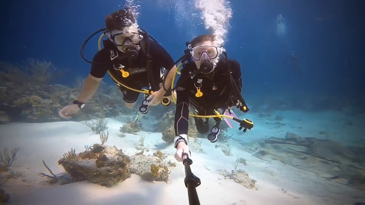 Blackbeard’s Liveaboard - Blackbeard’s Cruises - The Mighty Sea ...