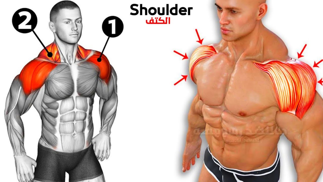 Here's How To Do Shoulder Workouts At Home Properly! (Just 2 Minutes A ...