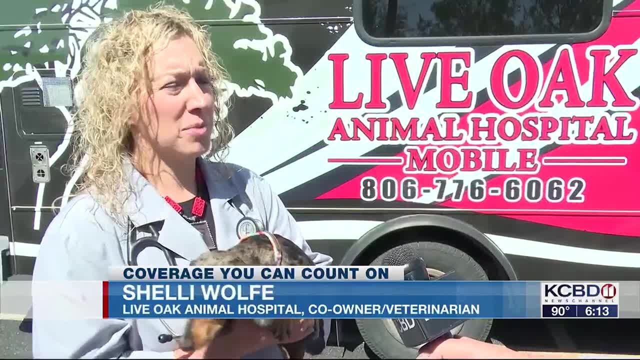 Live Oak Animal Hospital introduces new clinic on wheels - YouTube