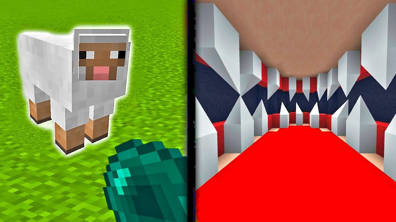 what's inside sheep Minecraft - YouTube