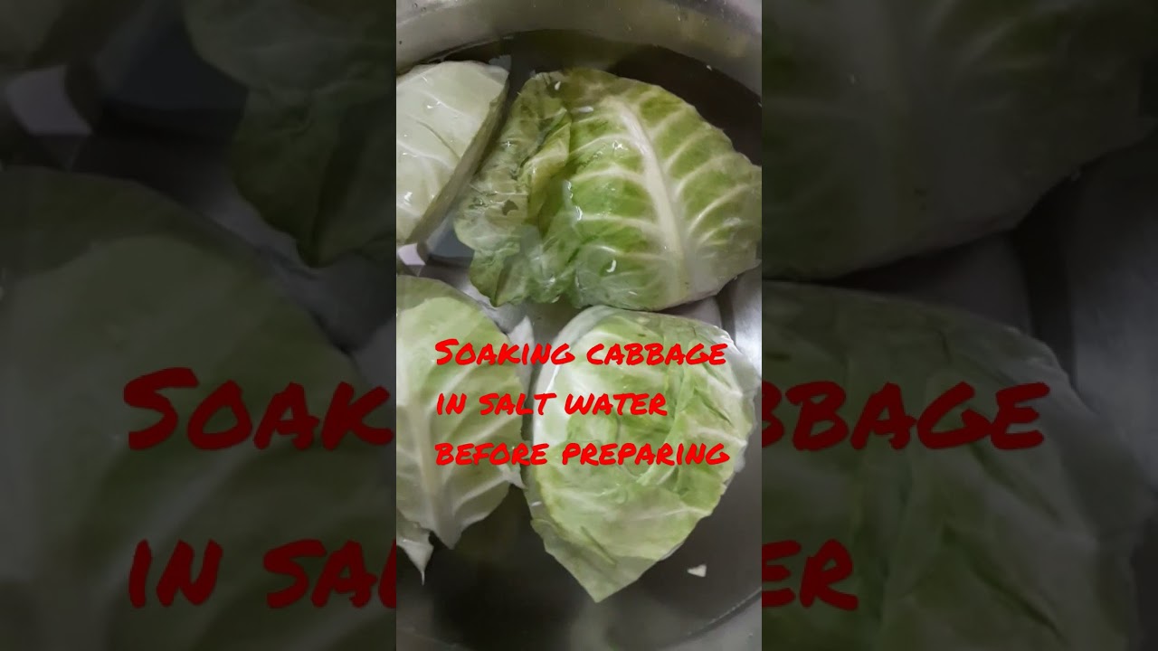 Soaking cabbage in salt Water before praparing// - YouTube