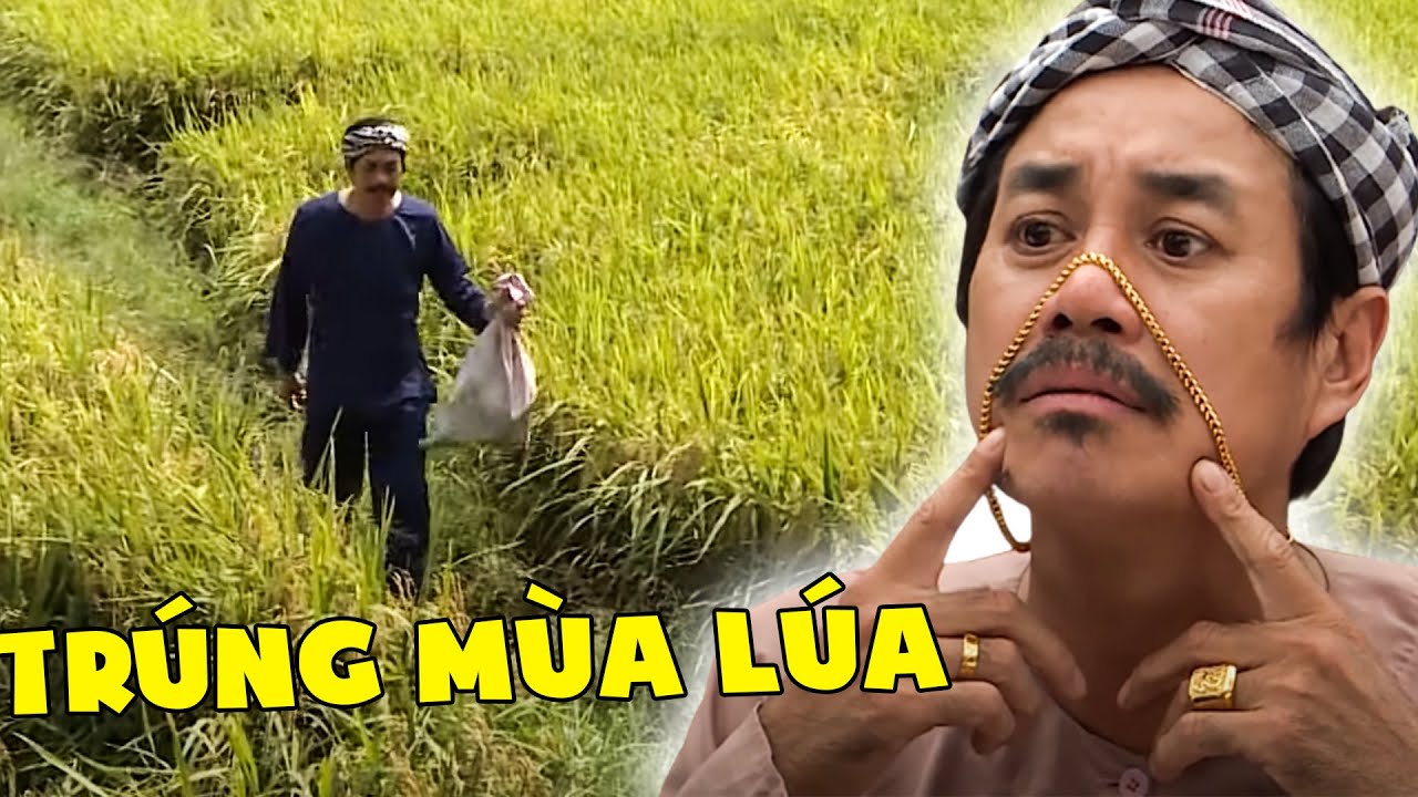 PHIM VIỆT NAM HAY | HAI LÚA TRÚNG MÙA LÚA TRỞ THÀNH ĐẠI GIA| Phim Việt Nam 2023 | PHIM TÌNH CẢM ...