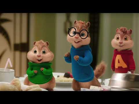 Alvin Ve Sincaplar ~ YARALARIMI SAR (MEG)