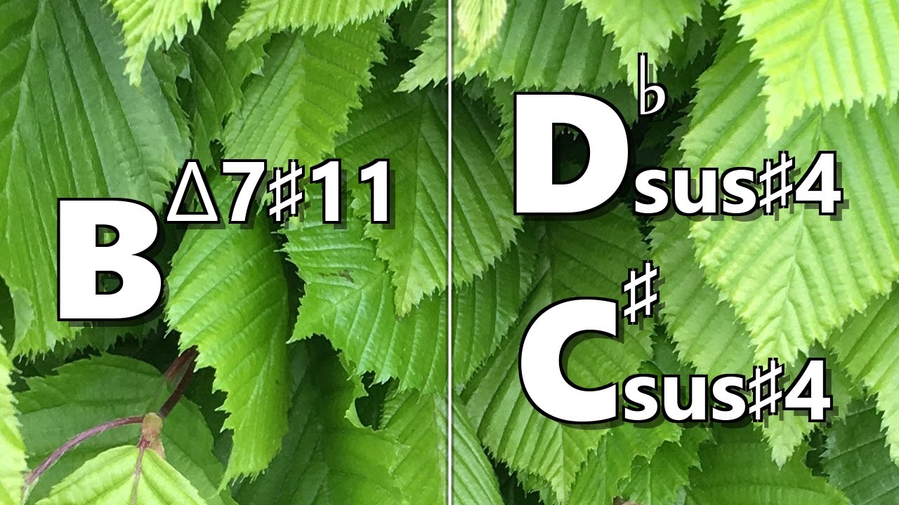 Bmaj7#11 to Dbsus #4 (C#sus #4) Backing Track - YouTube